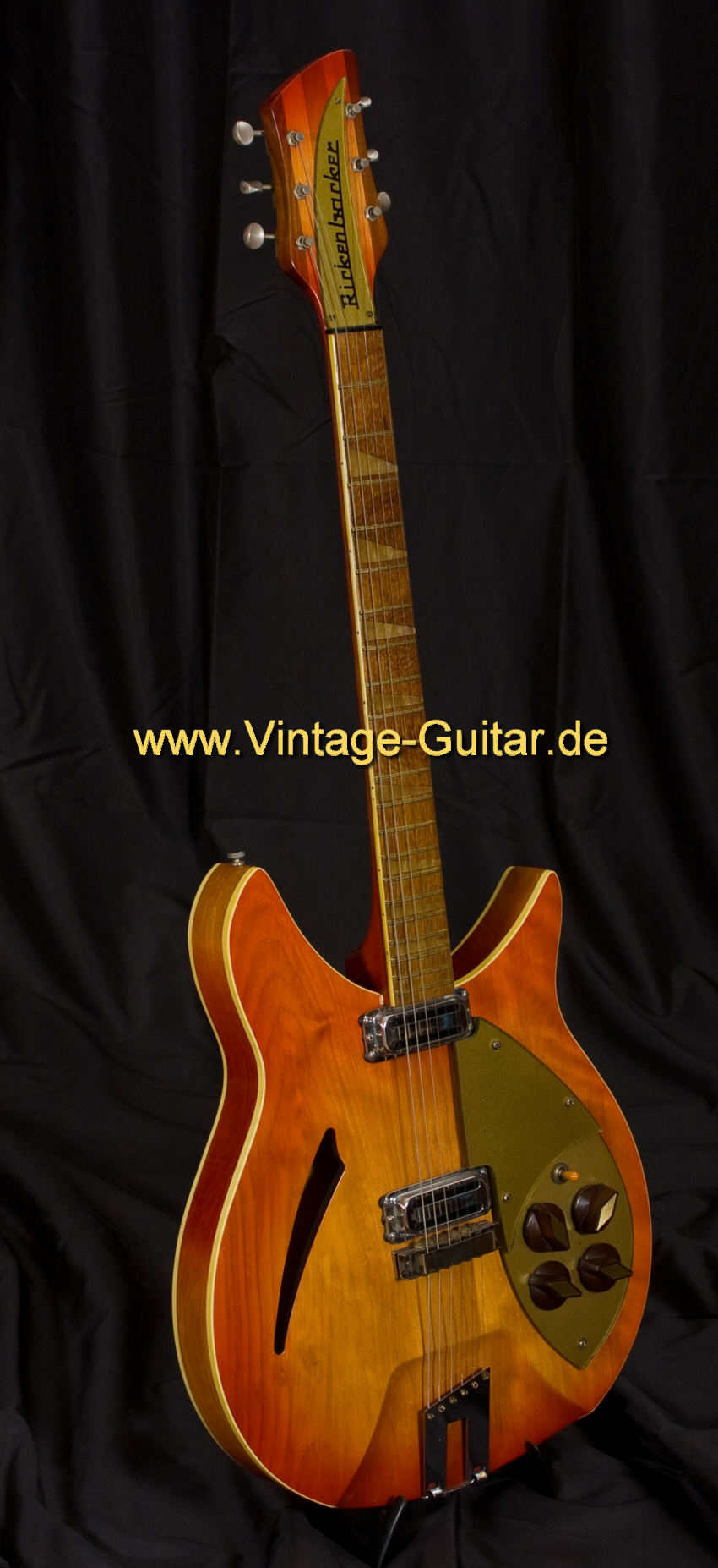 Rickenbacker 360 Capri