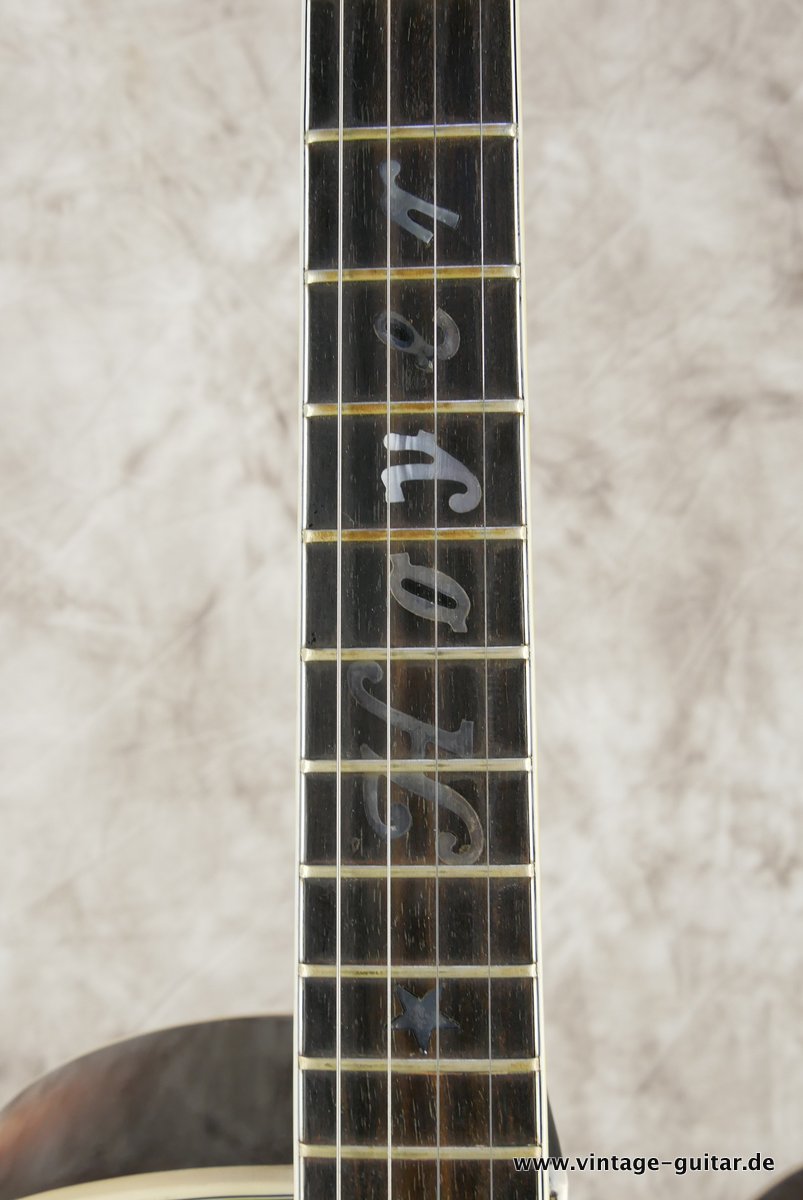 Hoyer Archtop Tenorguitar