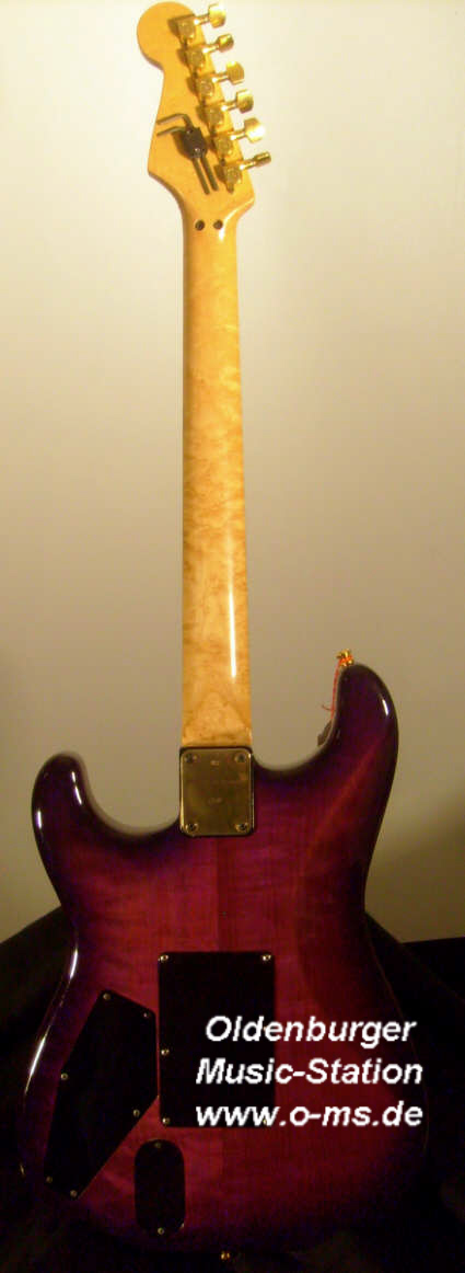 ESP ESP Custom Strat