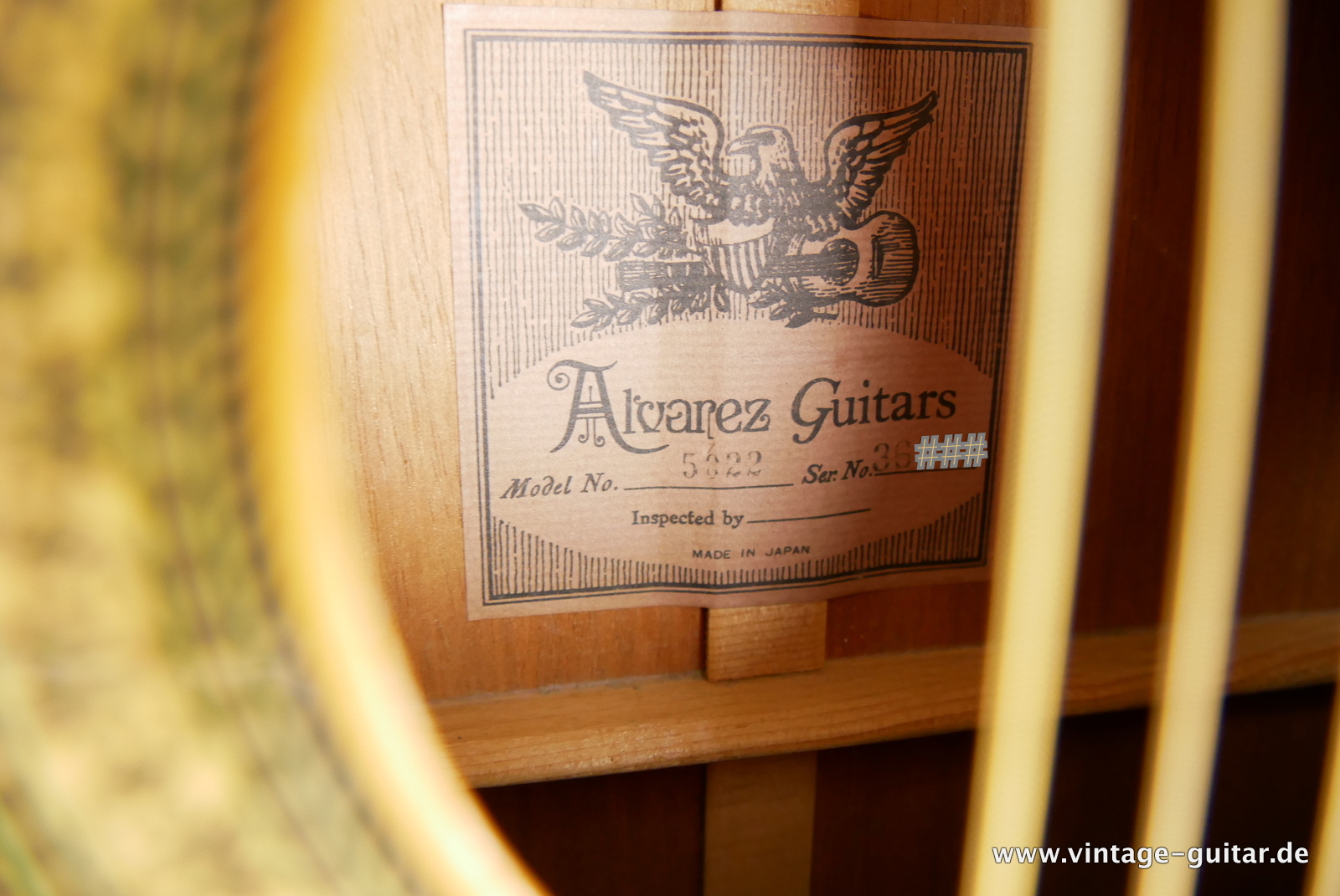 Alvarez Guitars 5022